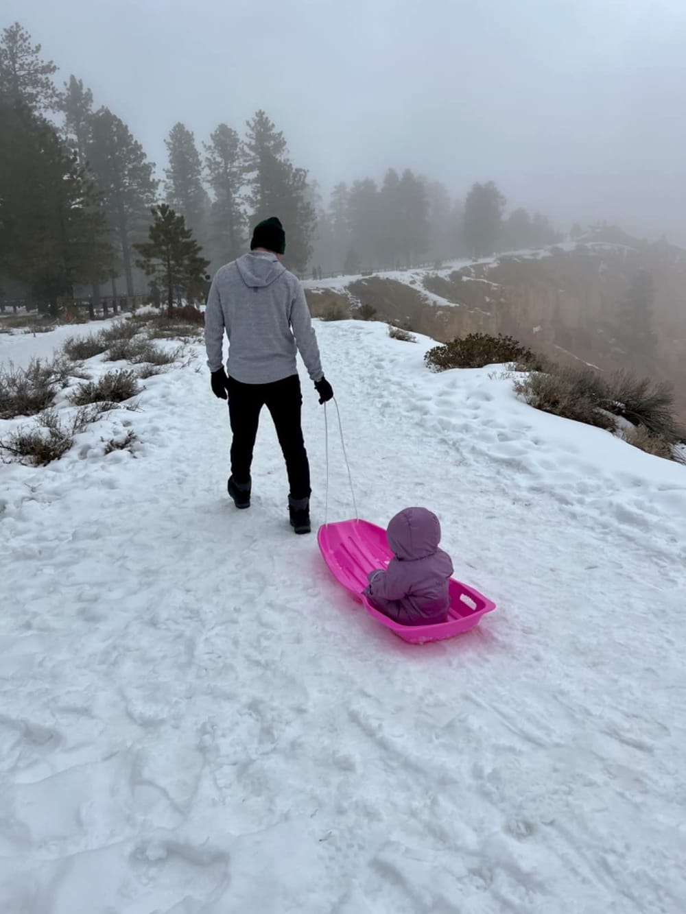 The Best Sleds For Toddlers For Winter Fun In The Snow